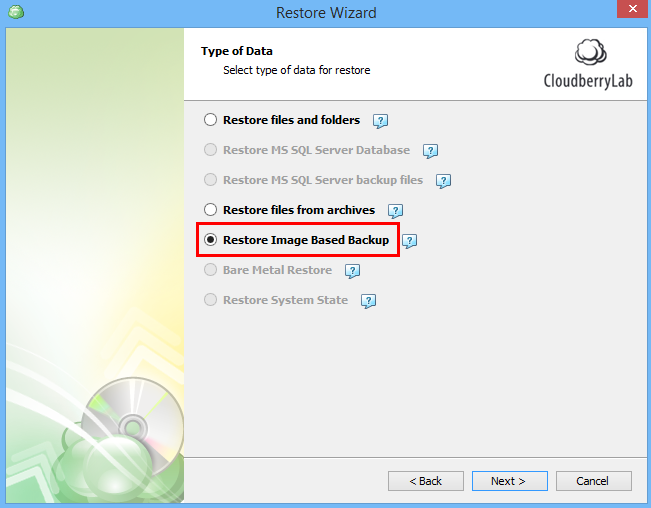 How to perform physical to virtual restores with MSP360 Backup.