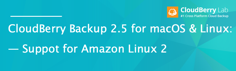 MSP360 Backup for macOS & Linux Now Supports Amazon Linux 2