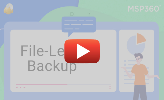 File-Level Backup Plan Creation with MSP360 Managed Backup